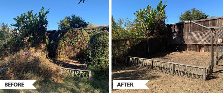 #1 Fire Abatement Service in California – Brush Pros