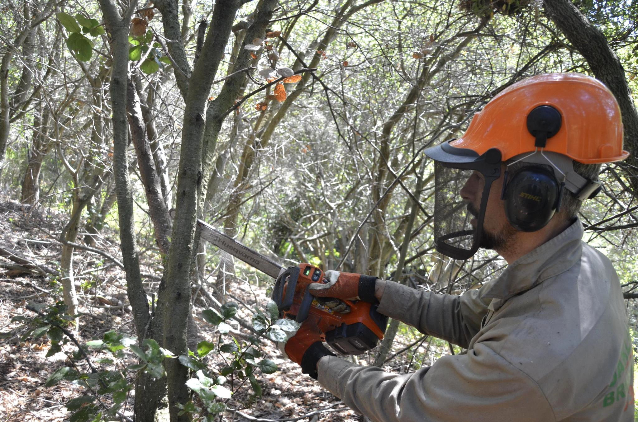 Brush Pros – #1 Brush Clearing & Fire Safety Specialists